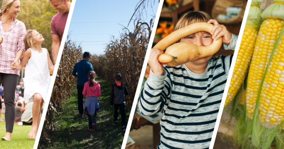 Best Things To Do in Missouri - Wondrous Drifter
