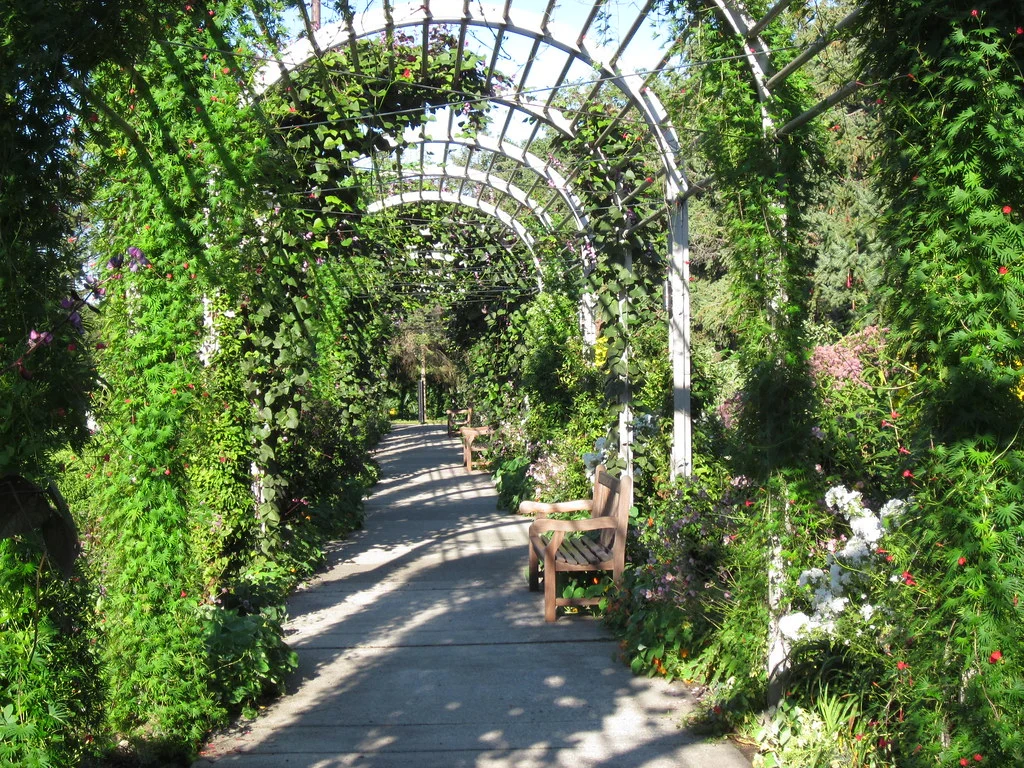 Best Things To Do in Minnesota - Wondrous Drifter