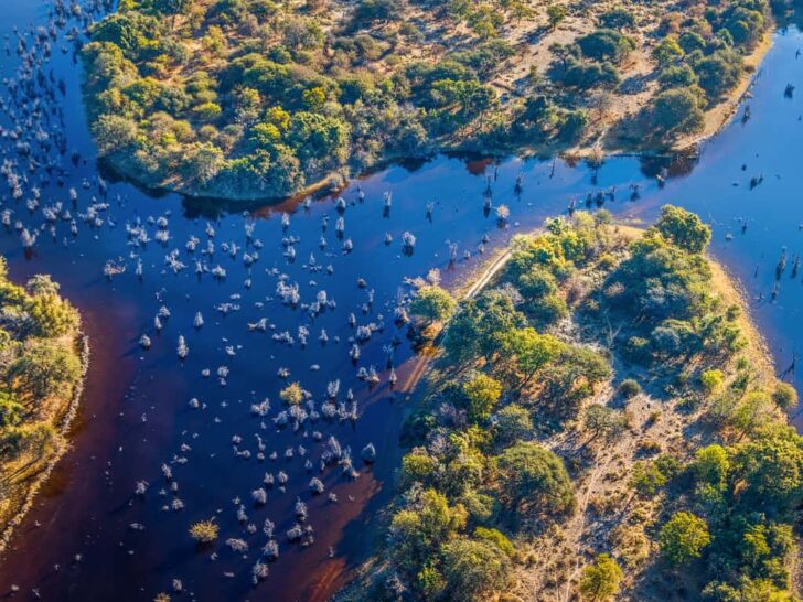 Best Things To Do in Botswana. [Ultimate] Travel Guide, Tips & Attractions.
