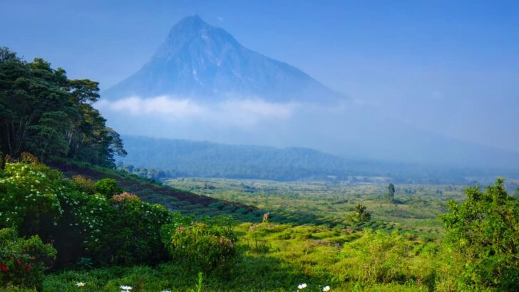 Best Things To Do in Democratic Republic of the Congo. [Ultimate ...