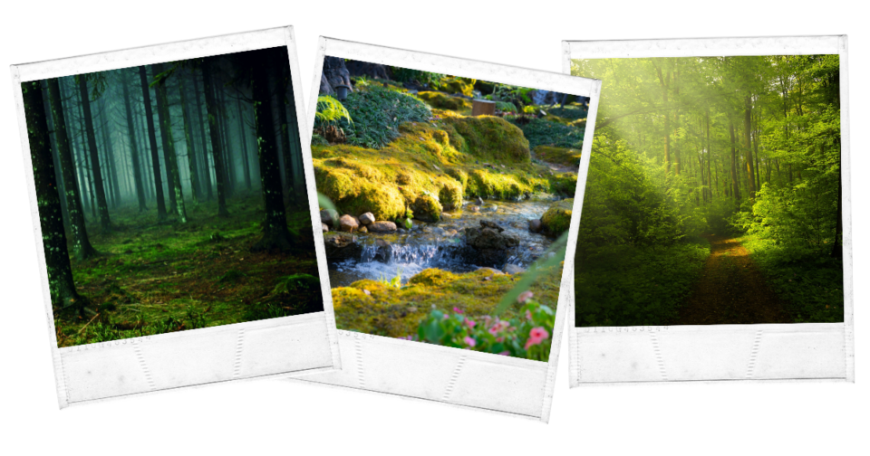 Best Things To Do in Burundi - Wondrous Drifter