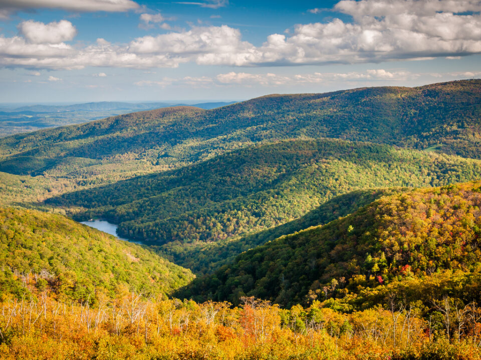 Best & Fun Things To Do + Places To Visit In Vienna, Virginia ...