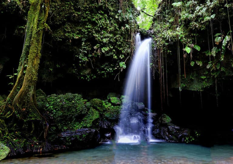 Best Things To Do in Dominica. [Ultimate] Travel Guide, Tips & Attractions.