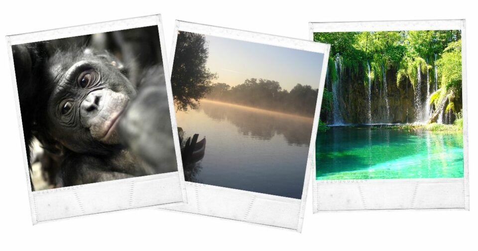 Best Things To Do in the Republic of the Congo. [Ultimate] Travel Guide ...