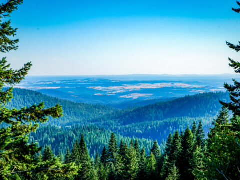 Best & Fun Things To Do + Places To Visit In Goldendale, Washington ...