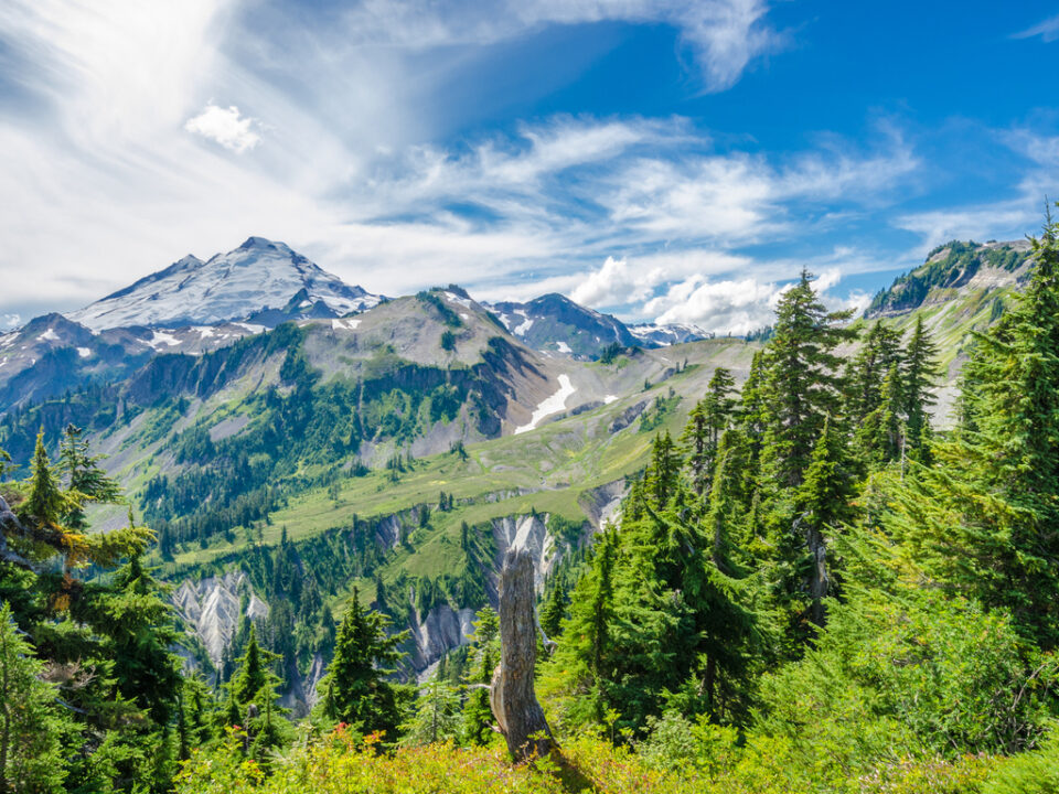 Reasons to visit Forks, Washington at least once in your lifetime ...