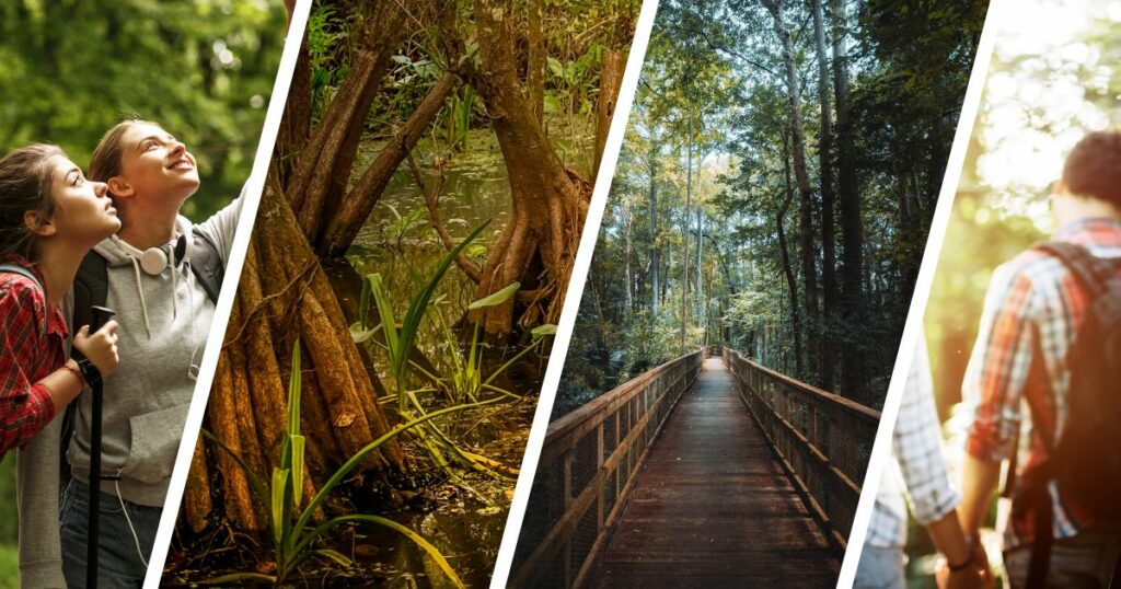 Best Things To Do in Baton Rouge, Louisiana