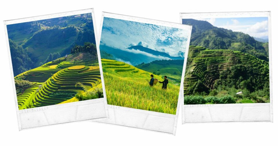 Best Things To Do in Bohol, Philippines. [Ultimate] Travel Guide, Tips ...