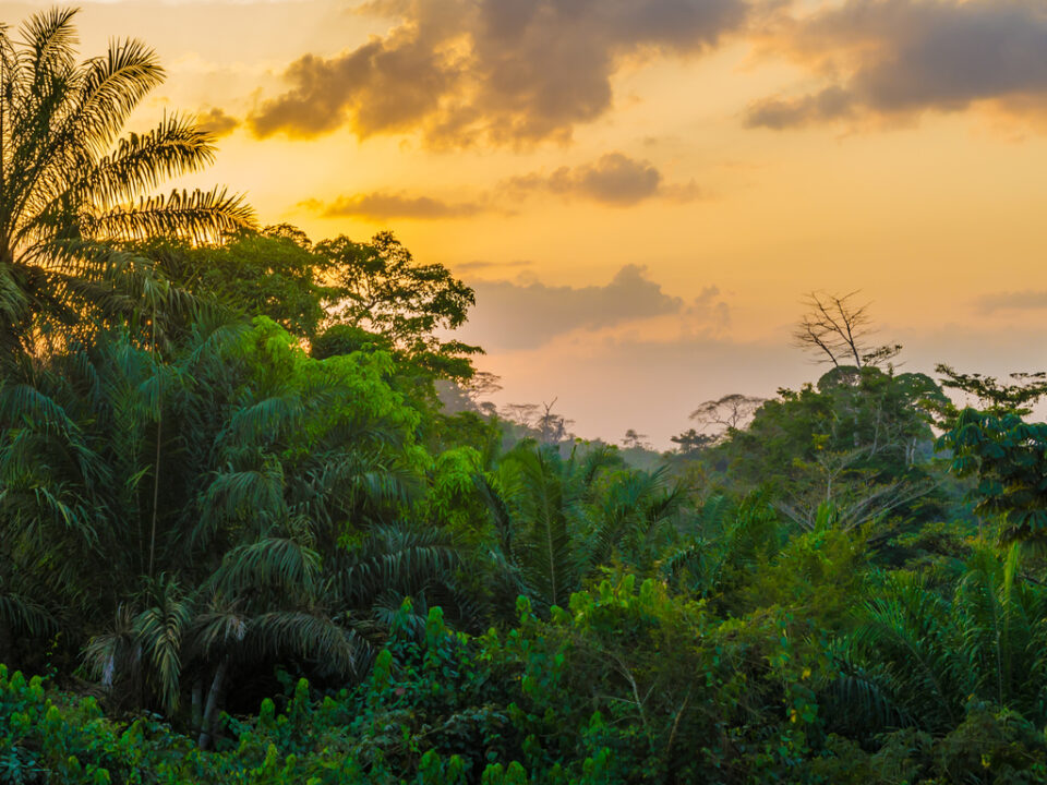Best Things To Do in Liberia. [Ultimate] Travel Guide, Tips & Attractions.