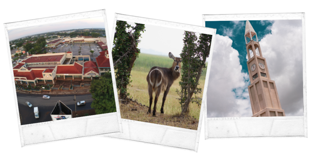 Best Things To Do in Malawi. [Ultimate] Travel Guide, Tips & Attractions.