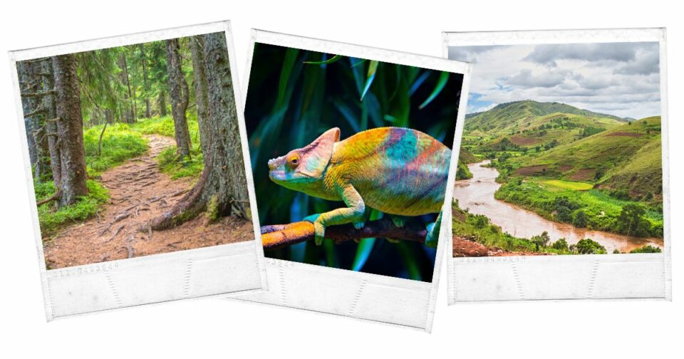 Best Things To Do in Madagascar. [Ultimate] Travel Guide, Tips ...