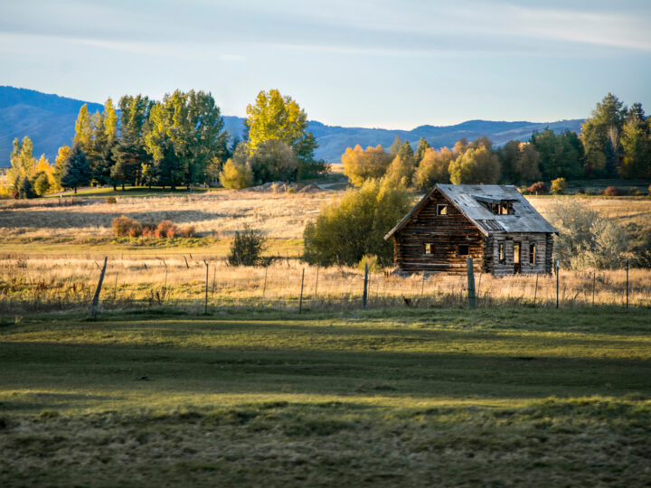 Best & Fun Things To Do + Places To Visit In Delta, Utah - Business Blog