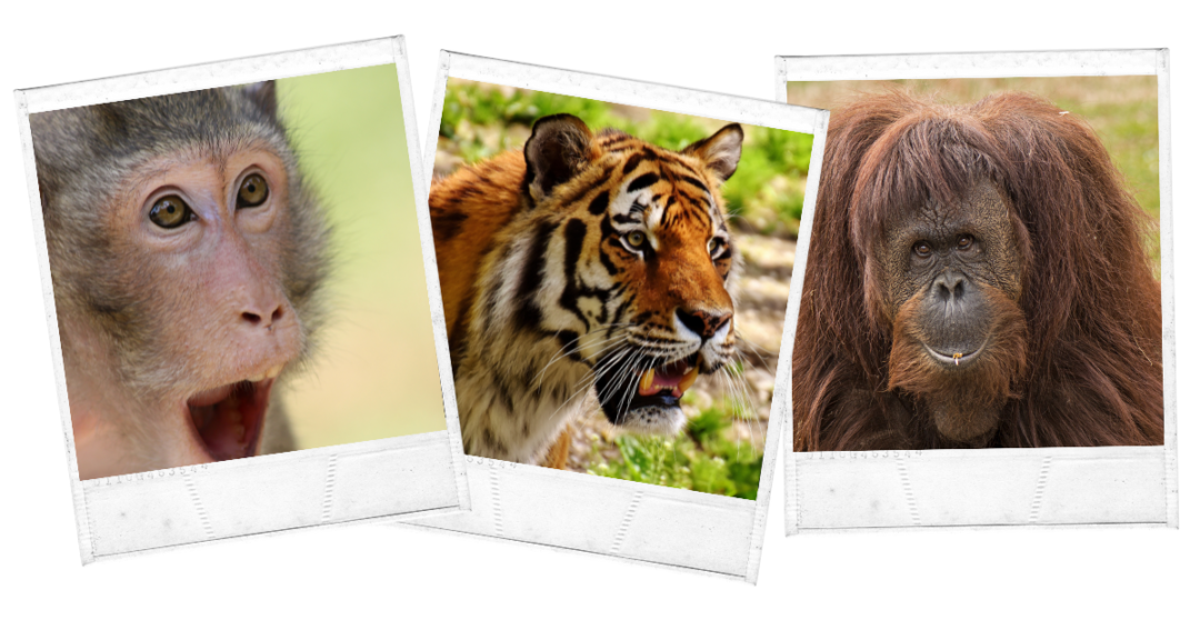 Best Things To Do in Merida, Mexico. [Ultimate] Travel Guide, Tips ...