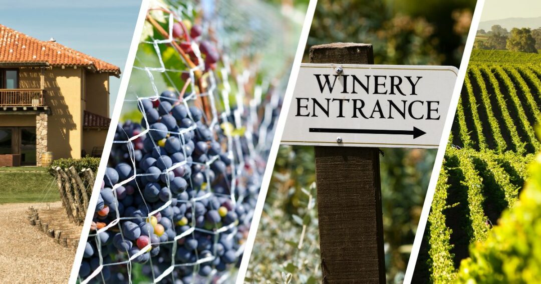 Best Things To Do in Rochester, Minnesota. [Ultimate] Travel Guide ...