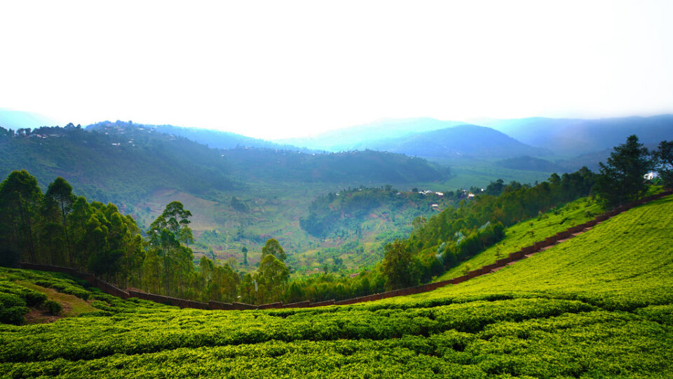 Best Things To Do in Rwanda. [Ultimate] Travel Guide, Tips & Attractions.