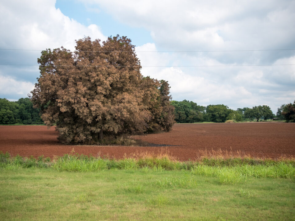 Reasons to visit Cushing, Oklahoma at least once in your lifetime ...