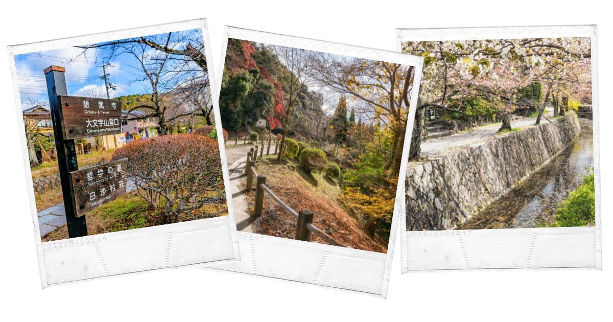 Best & Fun Things To Do + Places To Visit In Kyoto, Japan