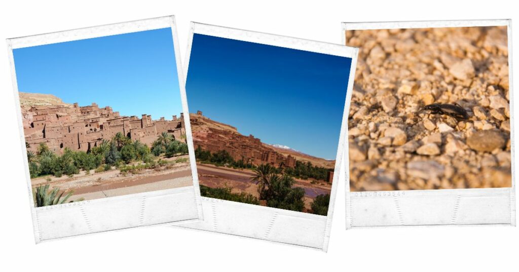 Best Things To Do in Niger. [Ultimate] Travel Guide, Tips & Attractions.