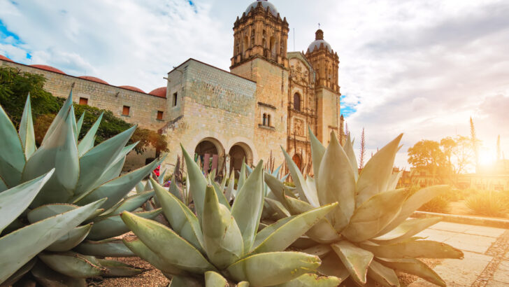 Best Things To Do in Oaxaca, Mexico. [Ultimate] Travel Guide, Tips ...