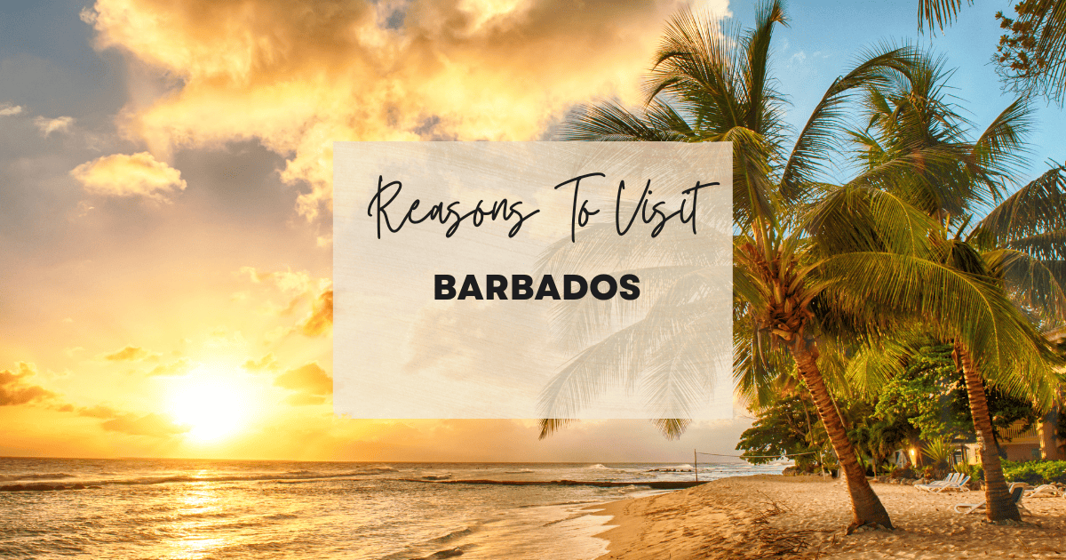 Reasons to visit Barbados at least once in your lifetime. #bucketlist