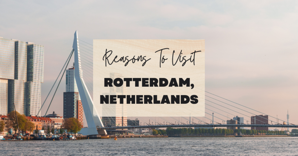 Reasons to visit Rotterdam, Netherlands at least once in your lifetime ...