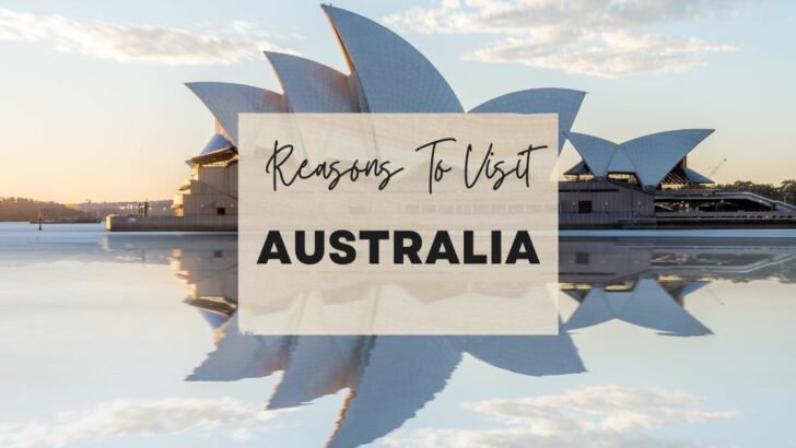Reasons to visit Australia at least once in your lifetime. #bucketlist