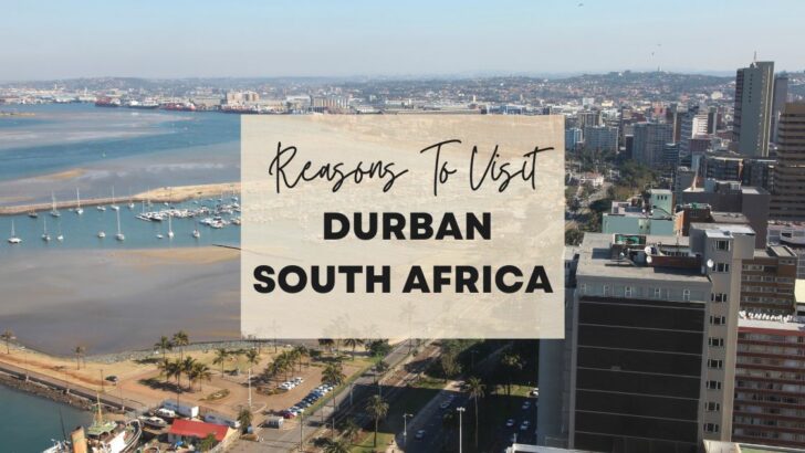 Reasons to visit Durban, South Africa at least once in your lifetime. # ...