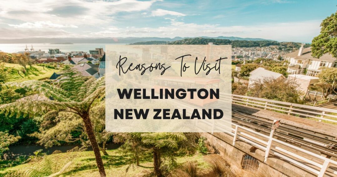 Best Things To Do in Wellington, New Zealand. [Ultimate] Travel Guide ...
