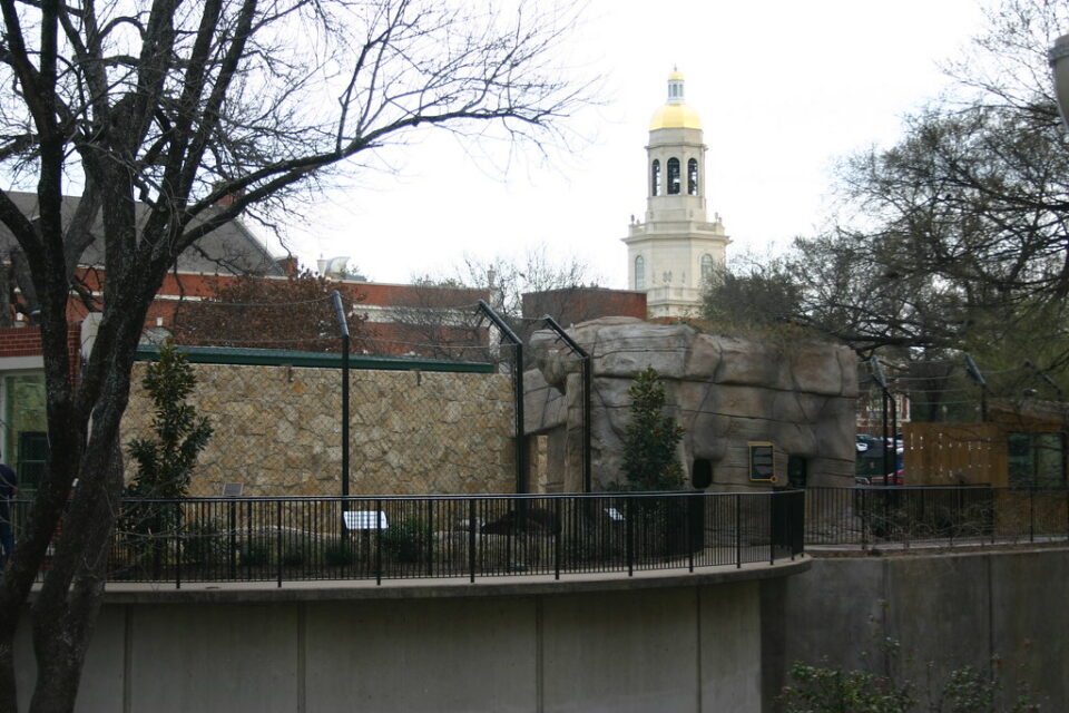 Best & Fun Things To Do + Places To Visit In Waco, Texas