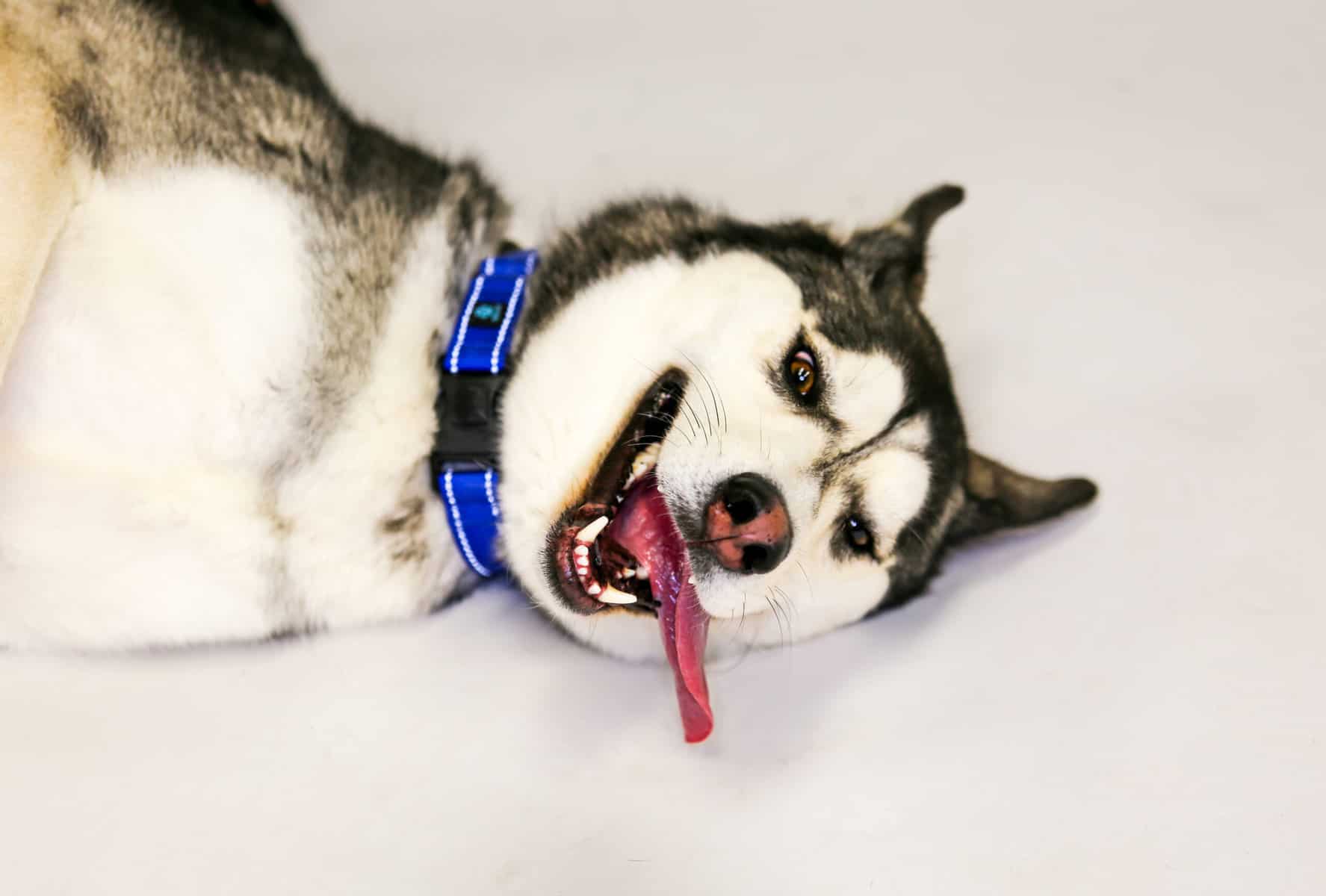 Interviews Archives - Business Blog