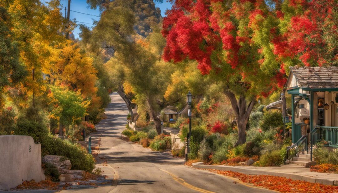 Best & Fun Things To Do + Places To Visit In Fallbrook, California ...