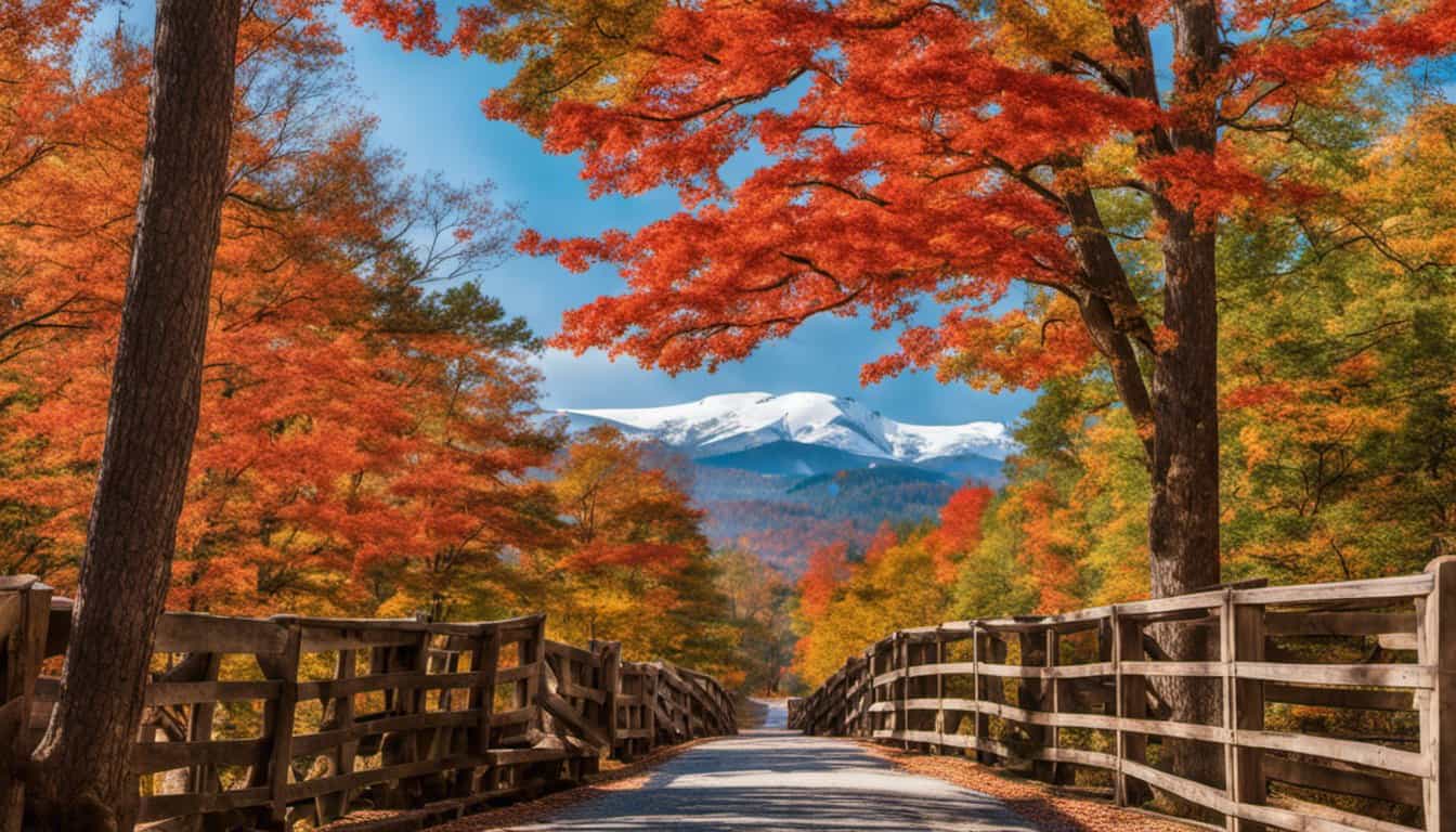 Best & Fun Things To Do + Places To Visit In Jasper, Georgia - Wondrous Drifter