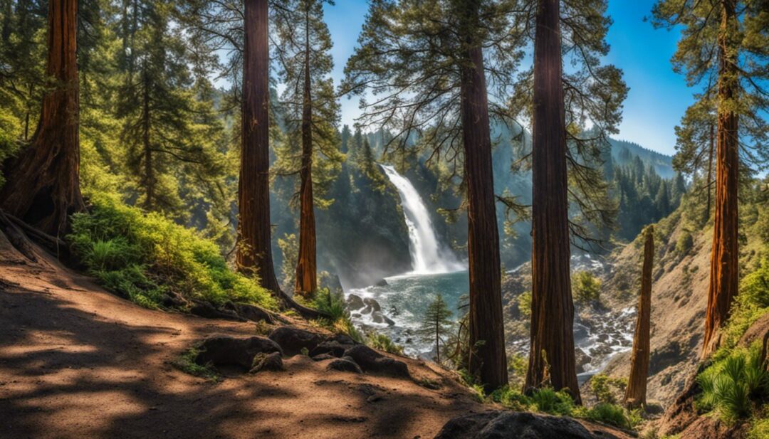 Best & Fun Things To Do + Places To Visit In Klamath, California ...