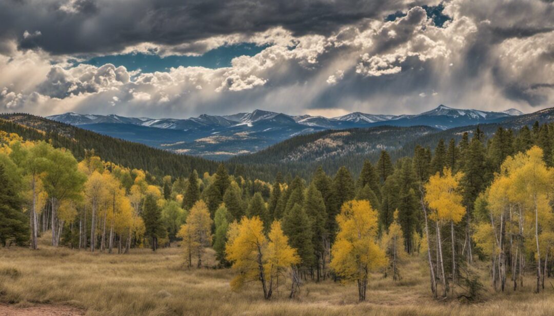 Best & Fun Things To Do + Places To Visit In Divide, Colorado ...