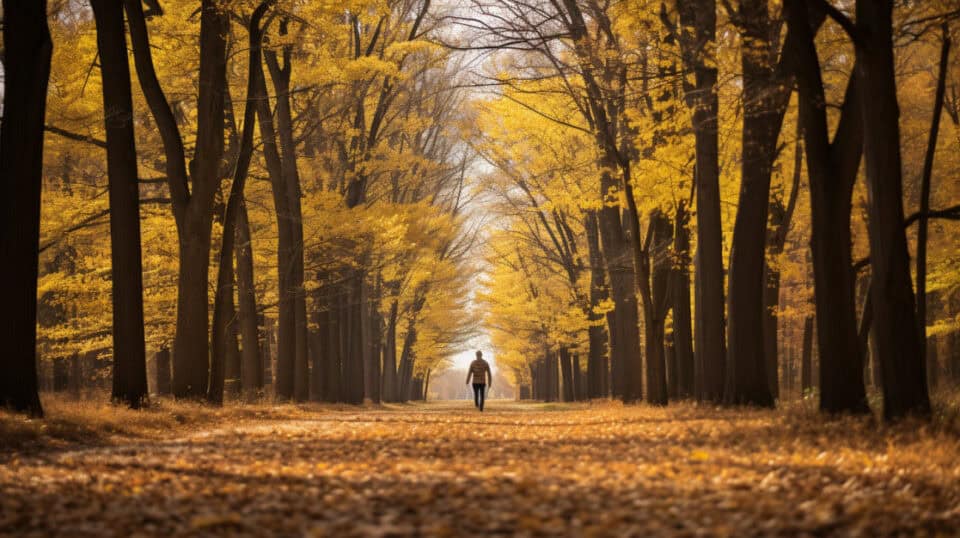 Best & Fun Things To Do + Places To Visit In Three Oaks, Michigan ...