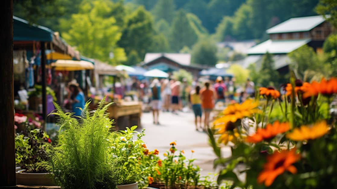 Best & Fun Things To Do + Places To Visit In Cashiers, North Carolina ...