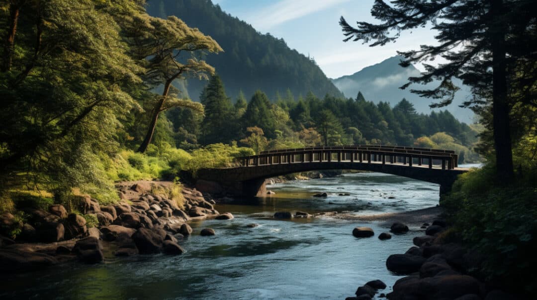 Best & Fun Things To Do + Places To Visit In Hillsboro, Oregon - Business Blog